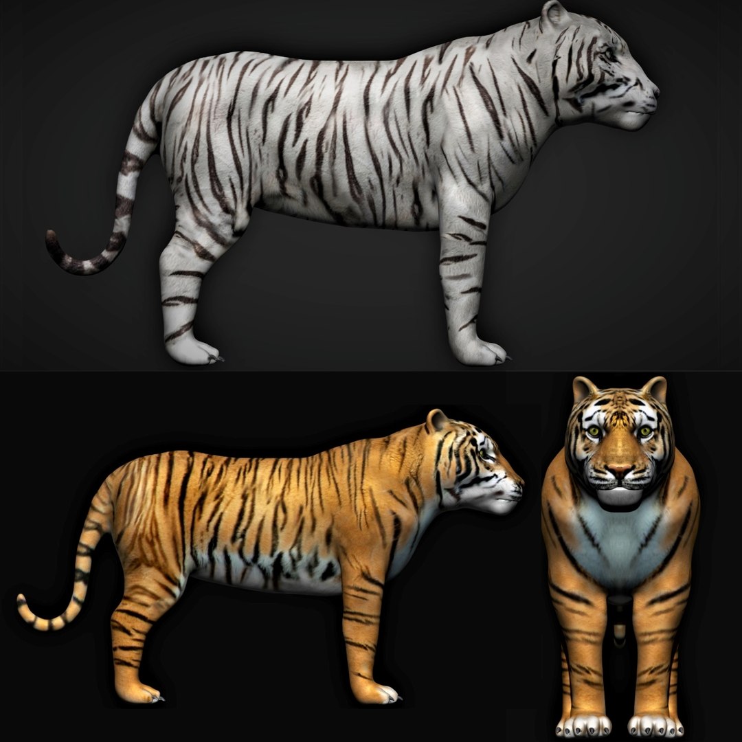 Fully Rigged Tiger 3D - TurboSquid 1689983