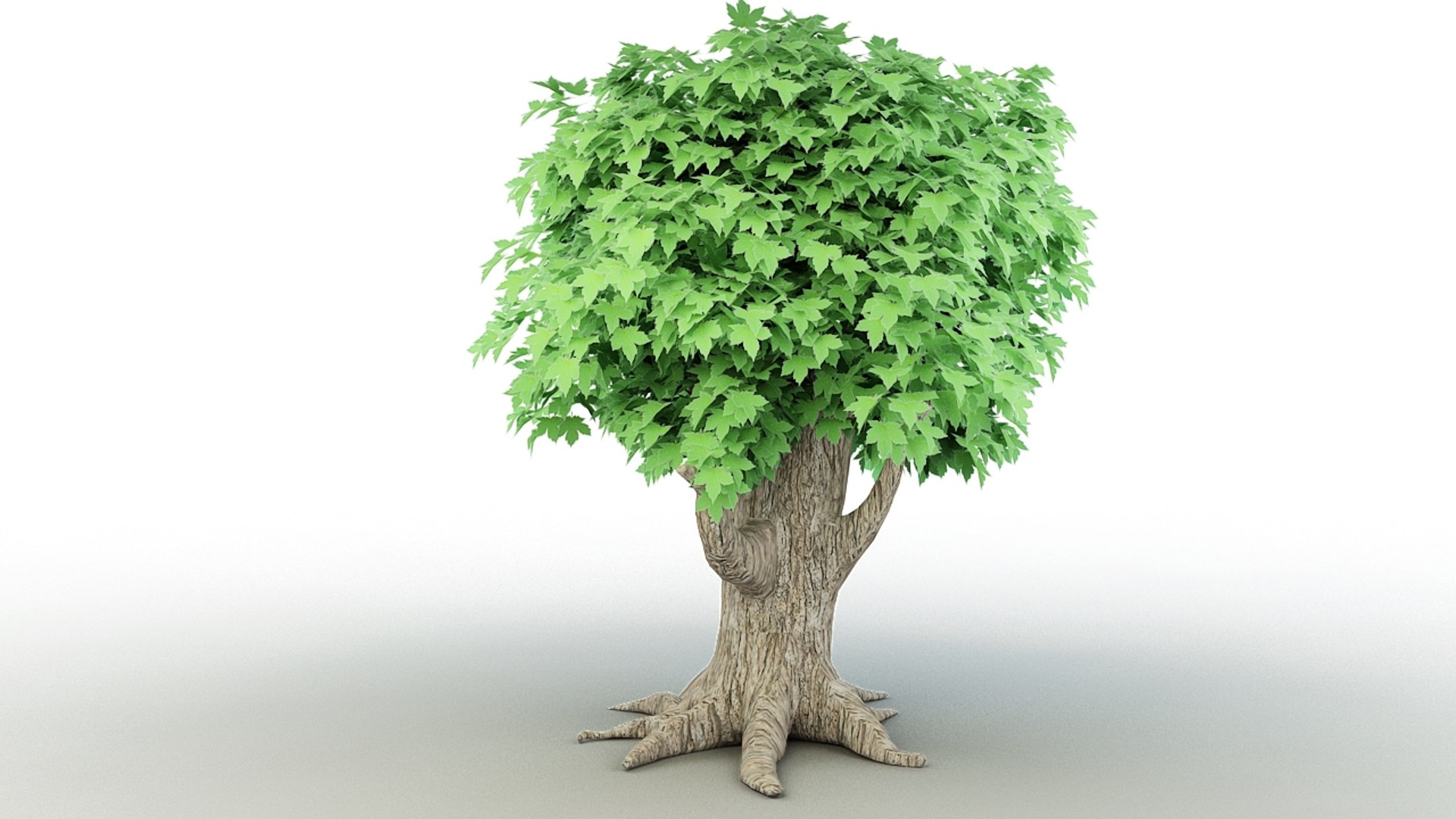 3D Cartoon Tree | 1144190 | TurboSquid