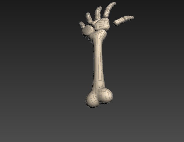 Arm bone 3D model - TurboSquid 1472028