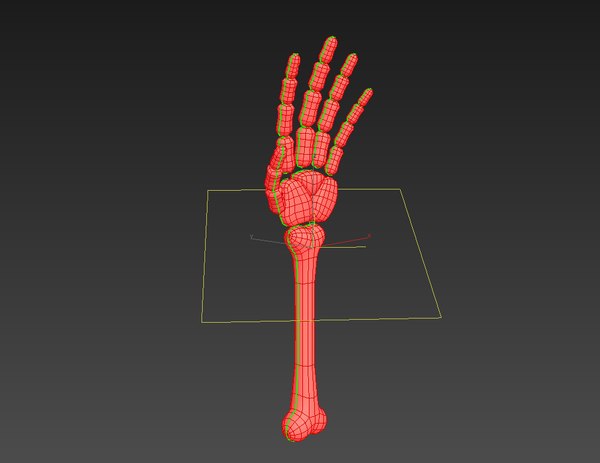 Arm bone 3D model - TurboSquid 1472028