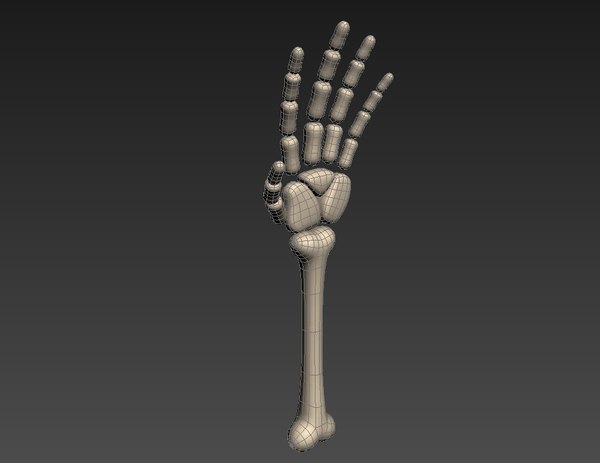 Arm bone 3D model - TurboSquid 1472028