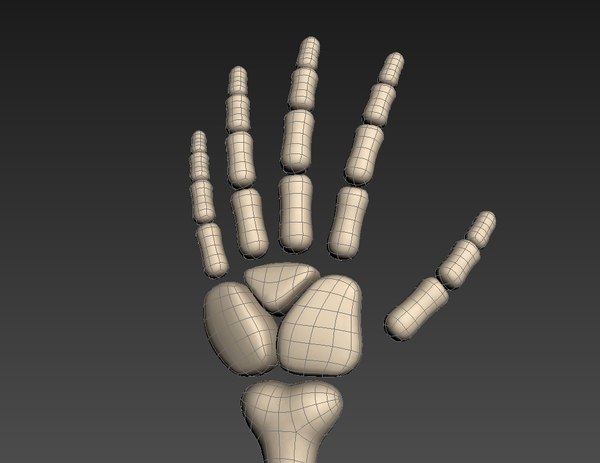Arm bone 3D model - TurboSquid 1472028