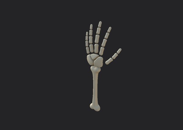 Arm bone 3D model - TurboSquid 1472028