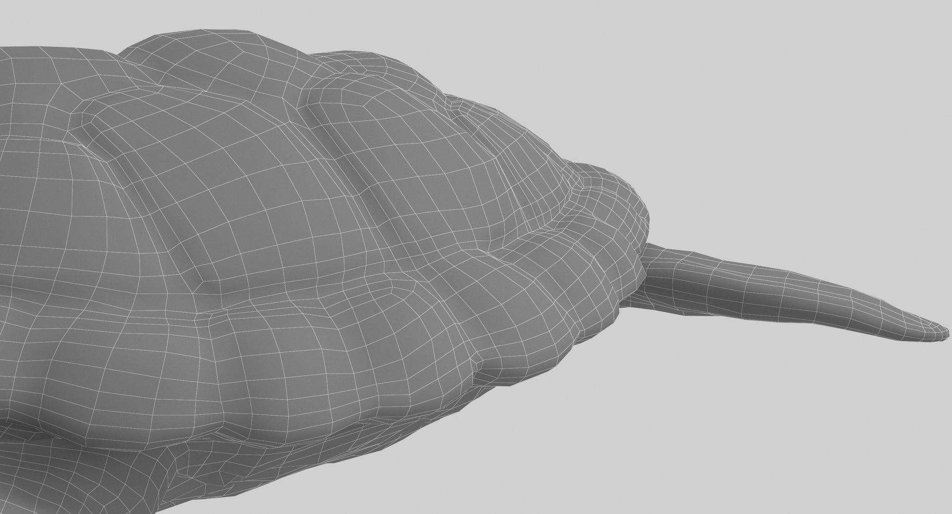 3D model carey turtle - TurboSquid 1257878
