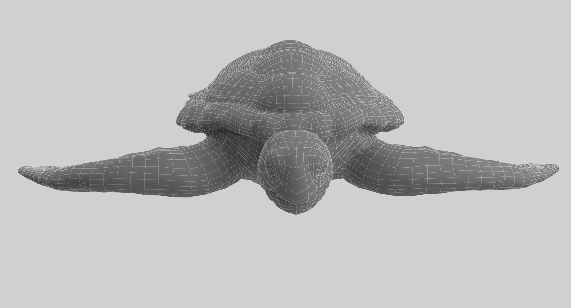 3D model carey turtle - TurboSquid 1257878