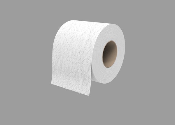 Toilet paper model - TurboSquid 1611926