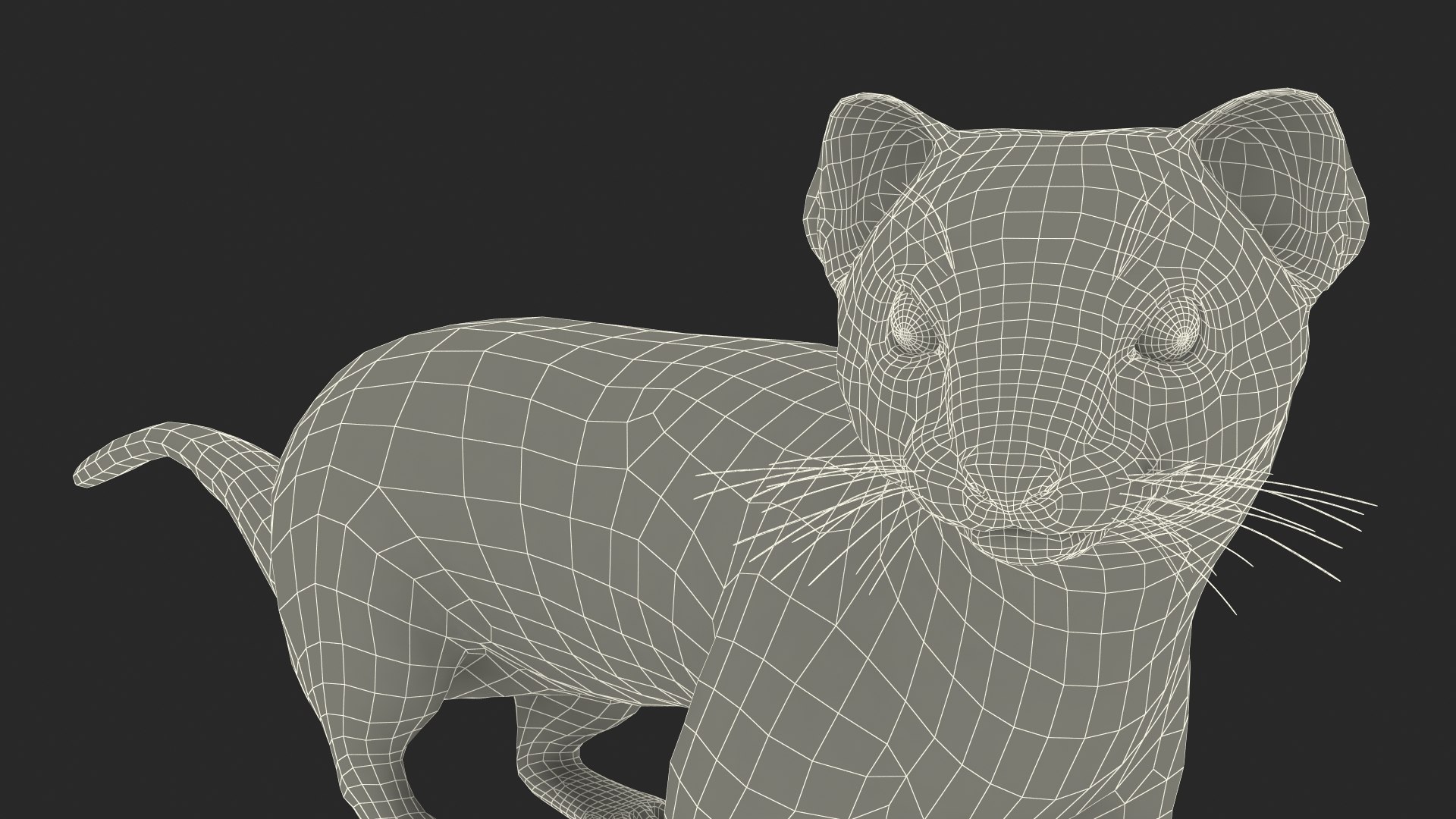 Vormela Peregusna In Walking Pose 3D Model - TurboSquid 2209135