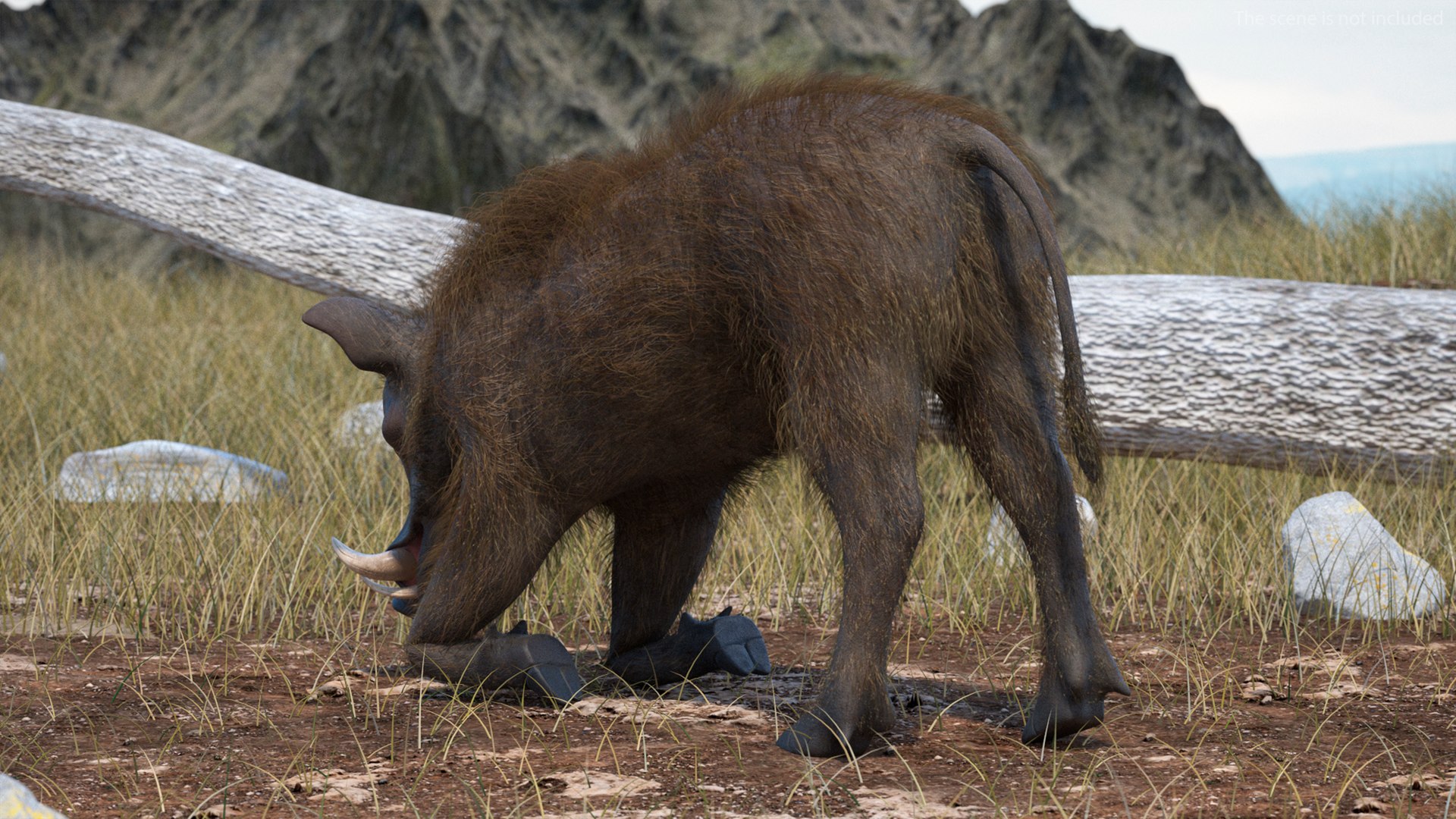 Phacochoerus Africanus Sundevallii Kneeling Pose Fur 3D Model ...