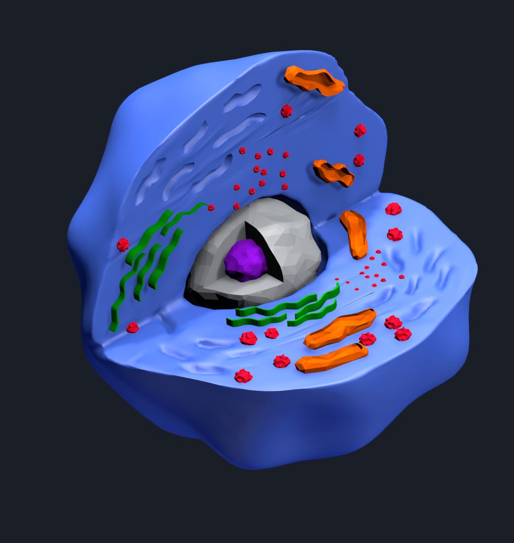 3ds Max Human Cell Color