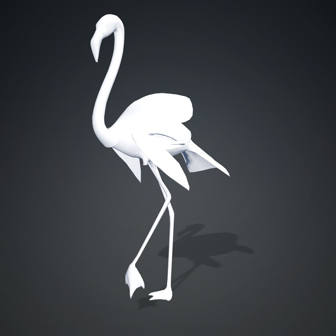 3D FLAMINGO BIRD - TurboSquid 2156141