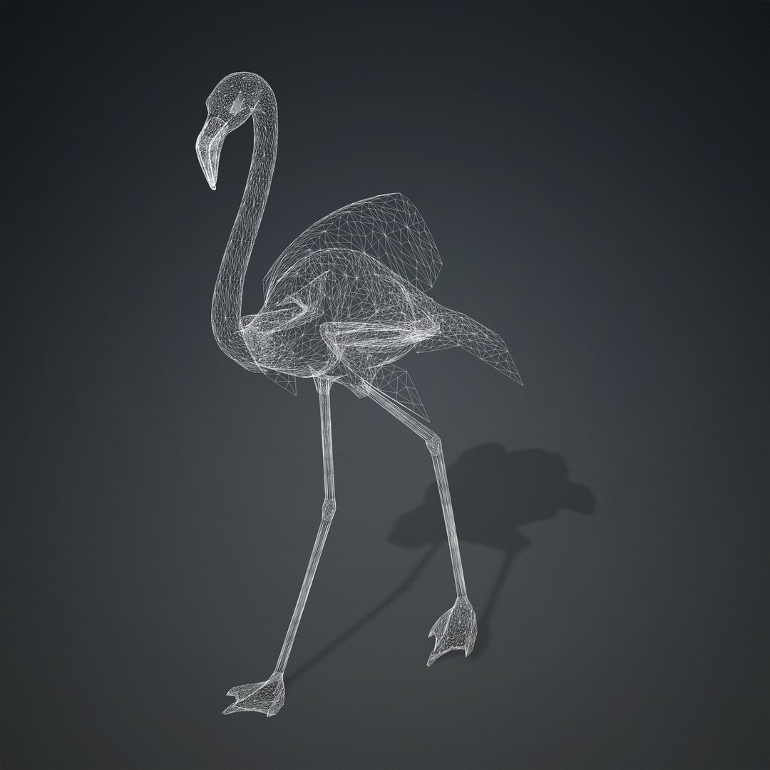 3D FLAMINGO BIRD - TurboSquid 2156141