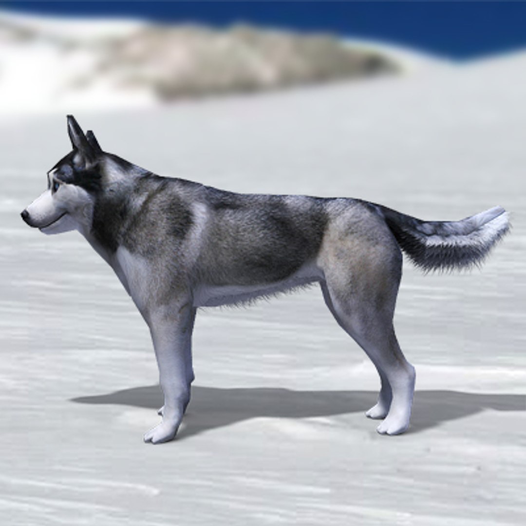 Native Northern North 3d Model