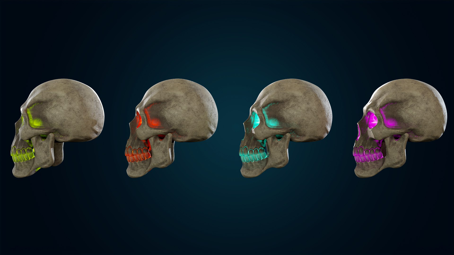 3D 3D Human Skeleton Skull - Default - Lowpoly - Game Ready model ...