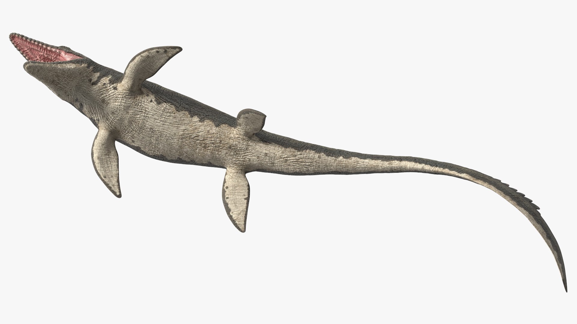 3D Mosasaurus Attack - TurboSquid 1918617