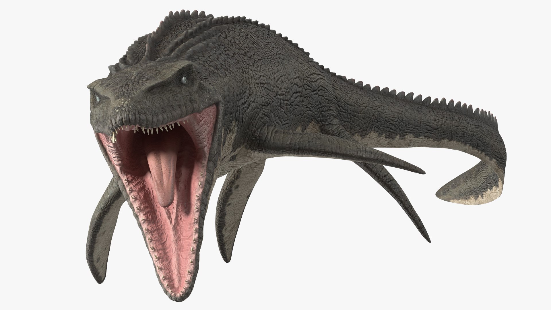 3D Mosasaurus Attack - TurboSquid 1918617