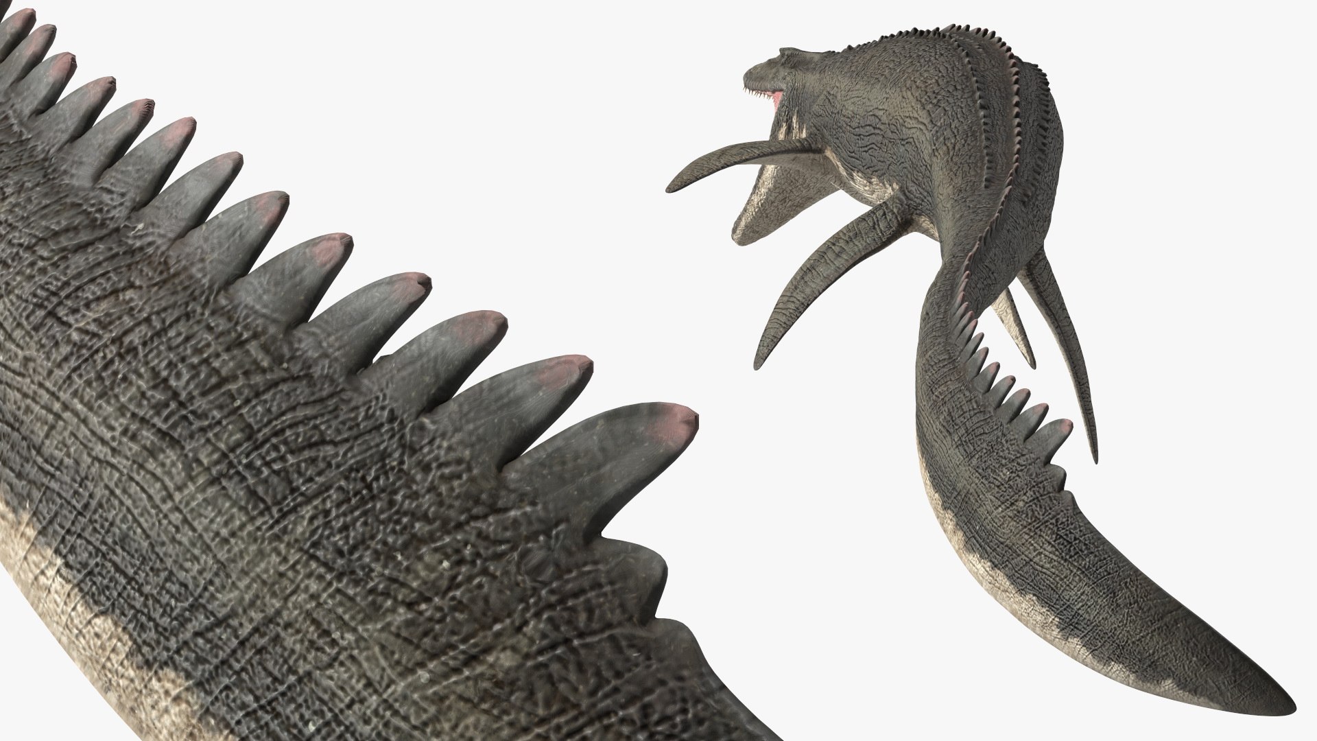 3D Mosasaurus Attack - TurboSquid 1918617