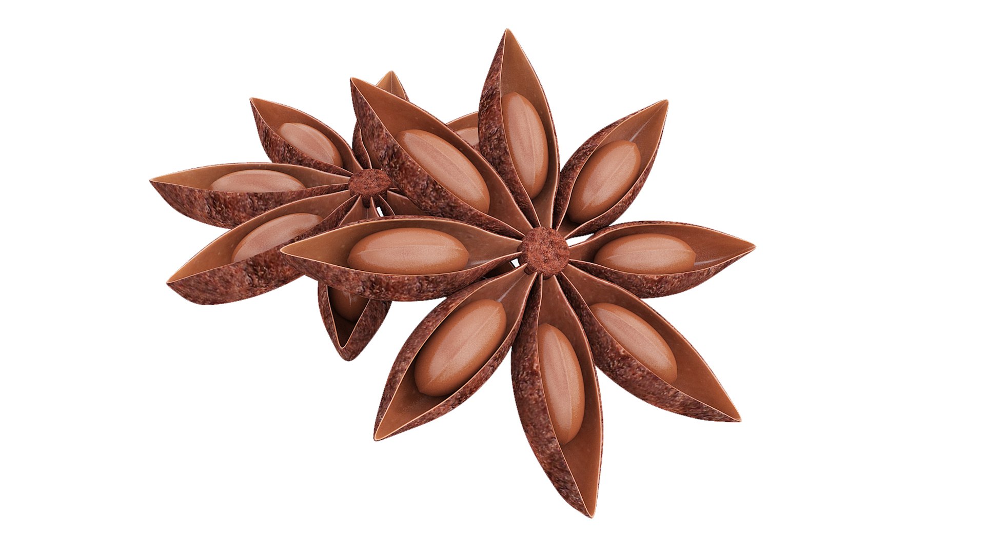 3D Anise Model - TurboSquid 1901618