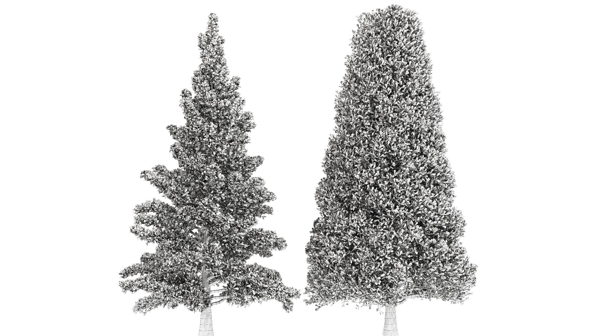 Free 3D Model Set Of Two Pine Trees - TurboSquid 2027500