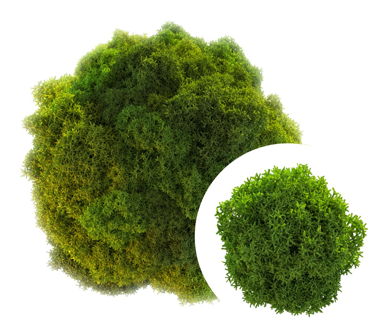 Stabilized Moss Model - TurboSquid 1464724