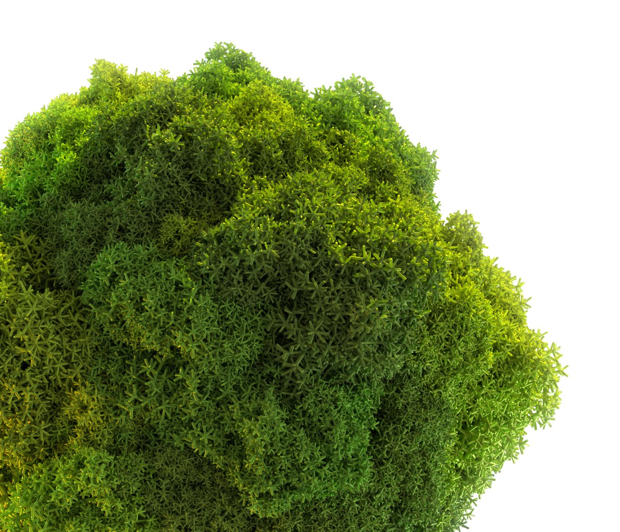 Stabilized Moss Model - TurboSquid 1464724