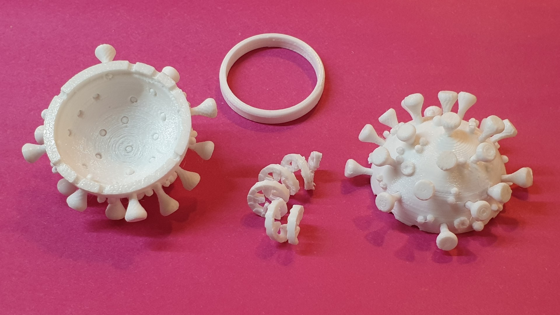 3D covid-19 print model - TurboSquid 1541728