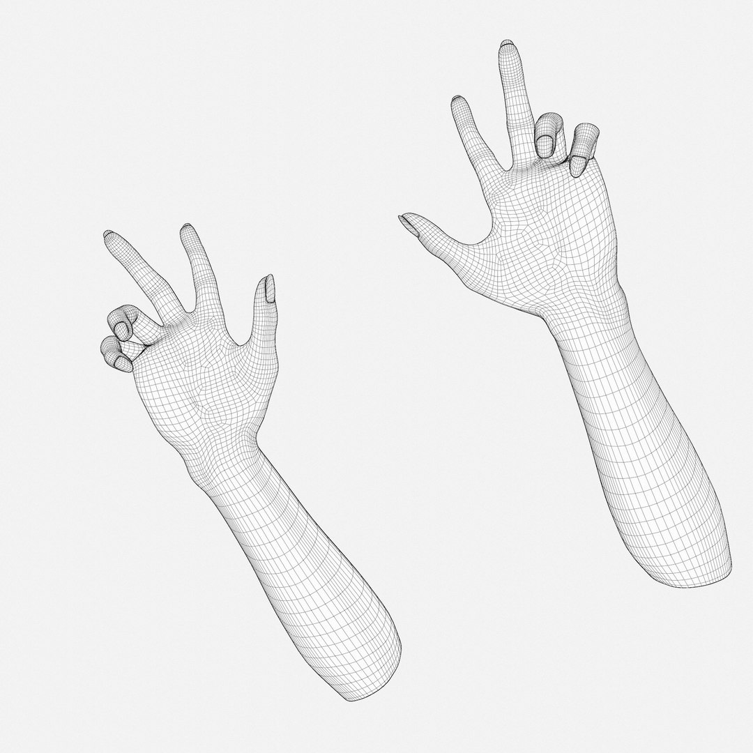 Rigged Female Hands 3d Model