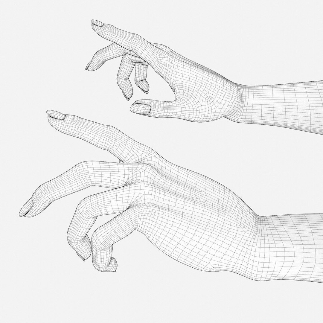 Rigged Female Hands 3d Model