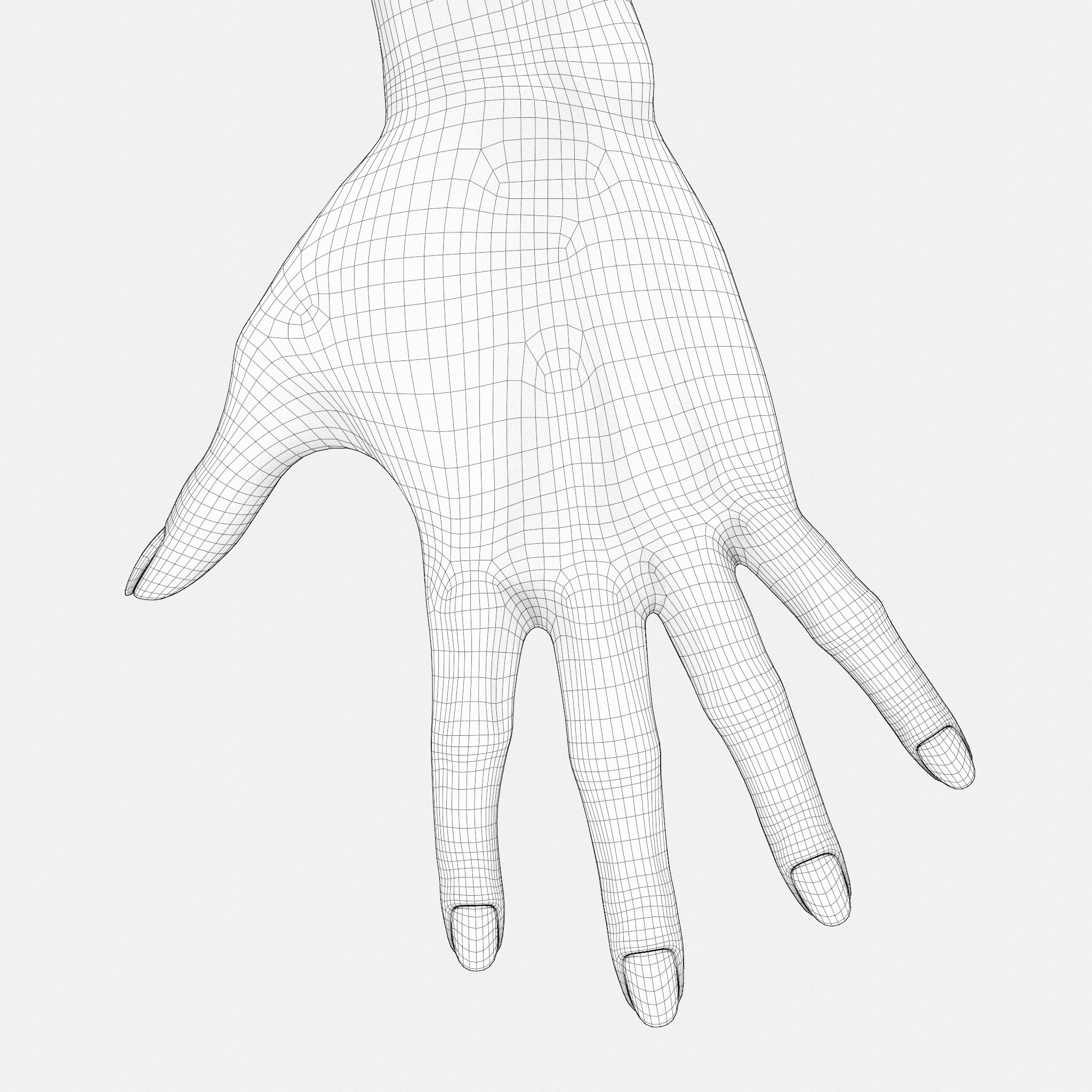 rigged female hands 3d model