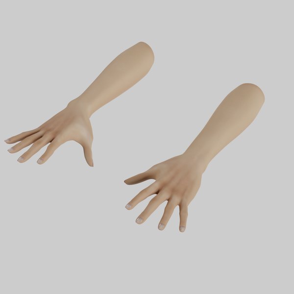 rigged female hands 3d model