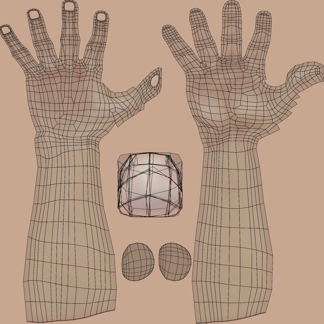 Rigged Female Hands 3d Model