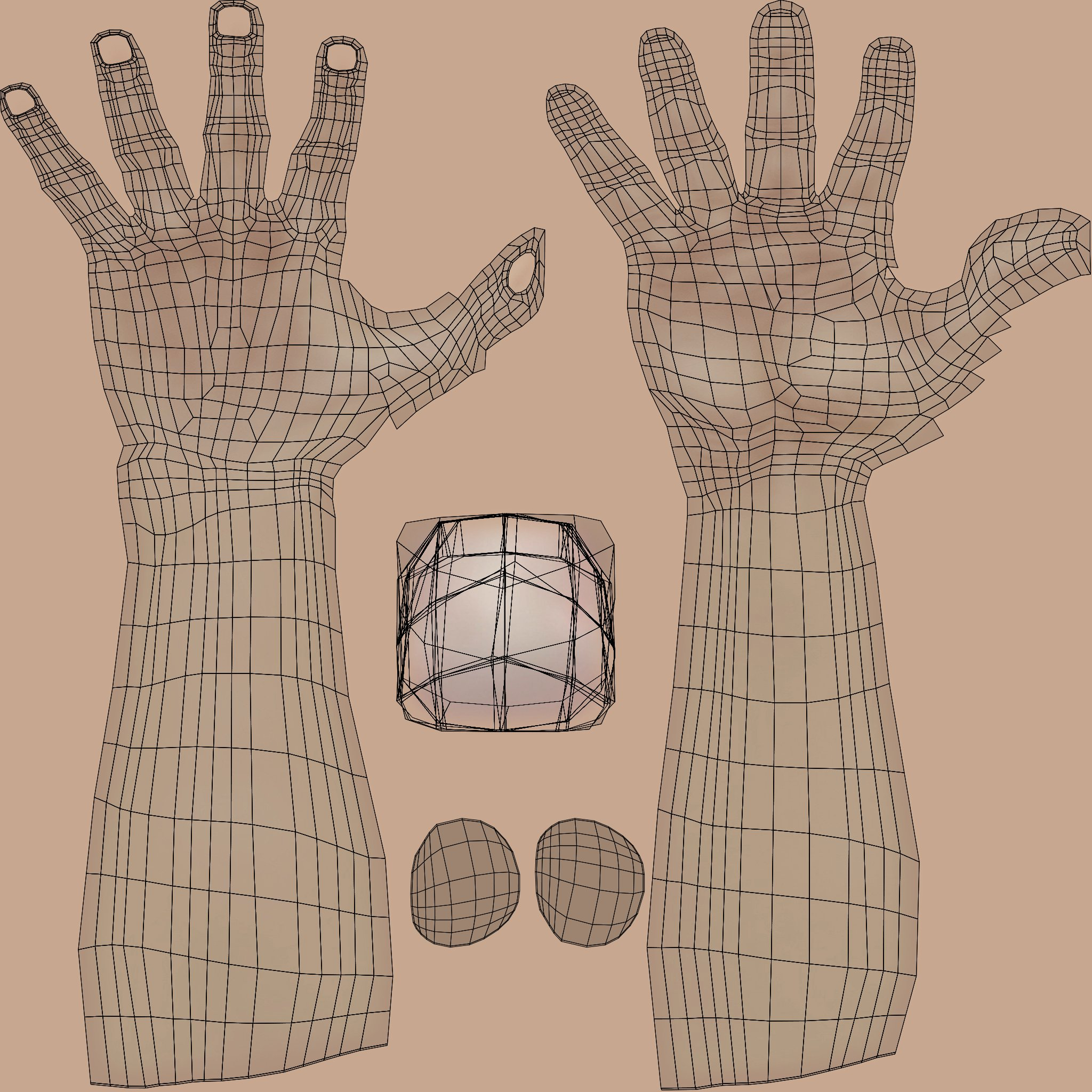 rigged female hands 3d model