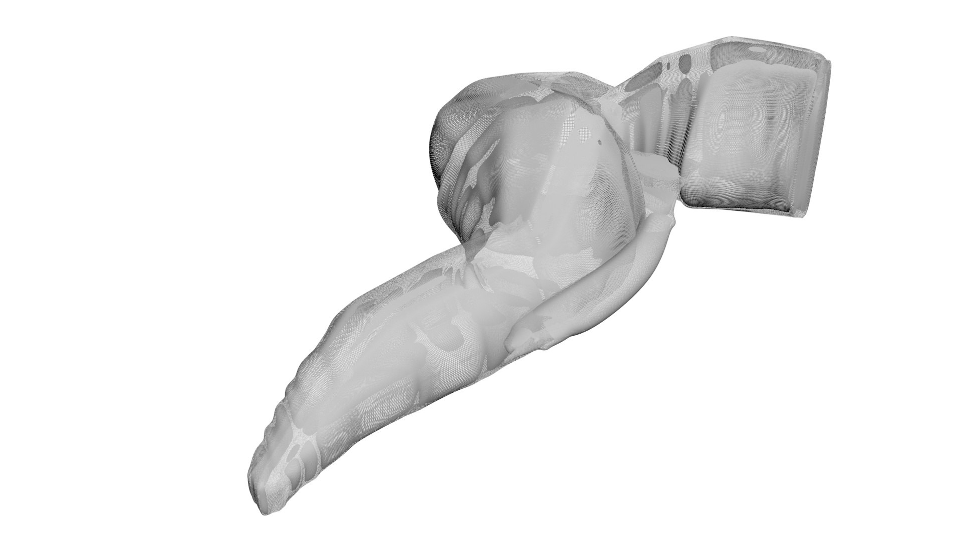 Chicken Wing 3D Model - TurboSquid 2249634