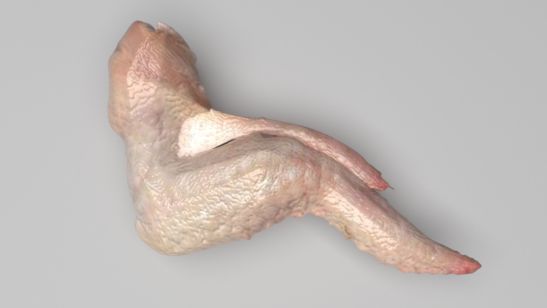 Chicken Wing 3D Model - TurboSquid 2249634