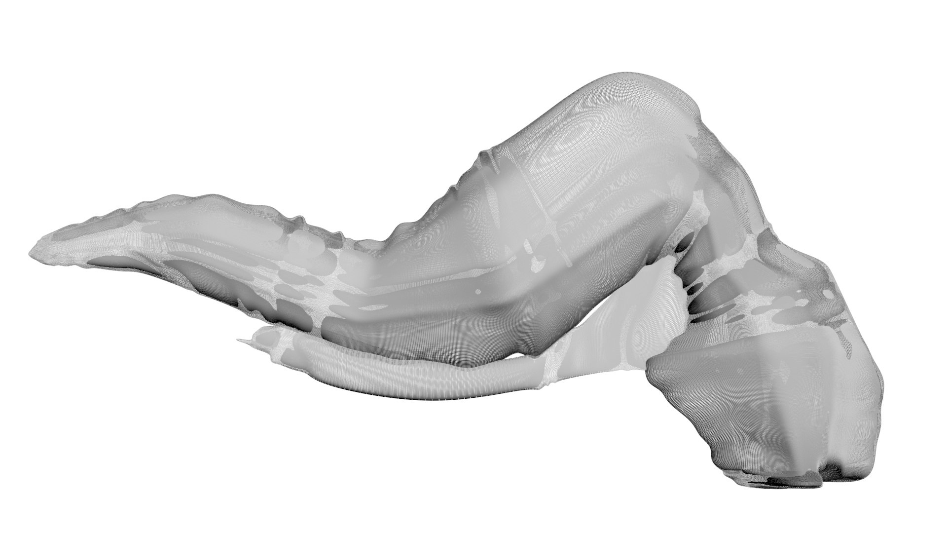 Chicken Wing 3D Model - TurboSquid 2249634