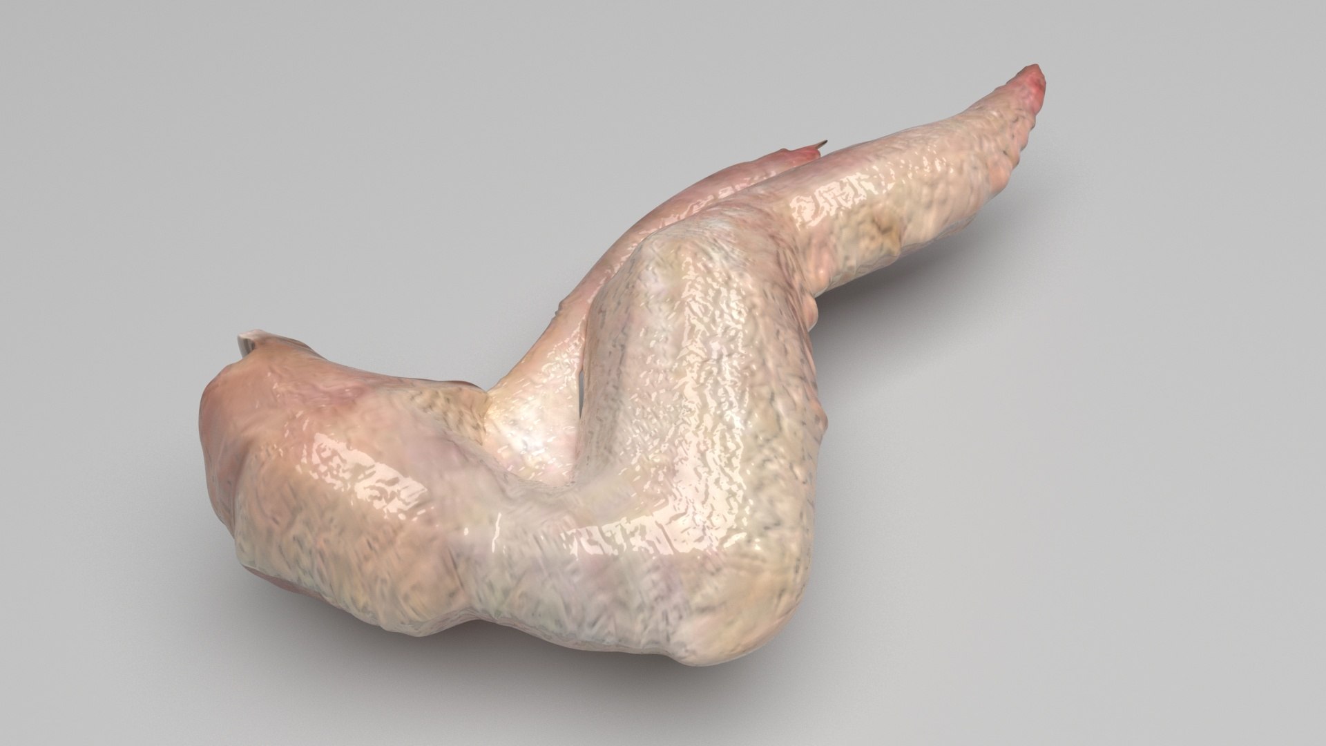 Chicken Wing 3D Model - TurboSquid 2249634