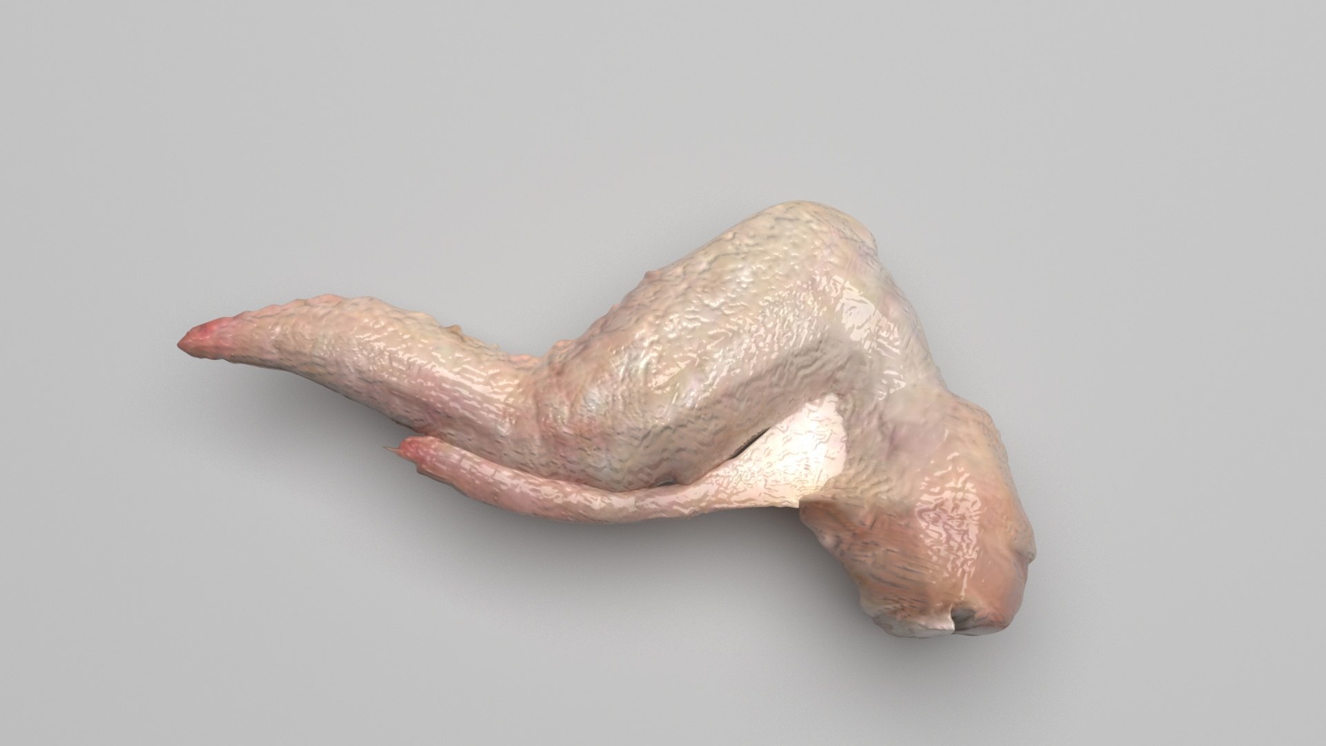 Chicken Wing 3D Model - TurboSquid 2249634