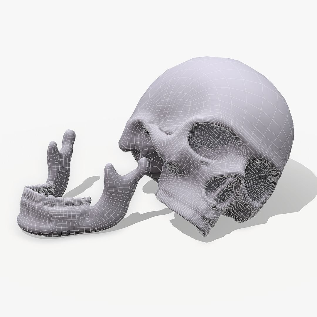 Realistic Human Skull Model - TurboSquid 1323615