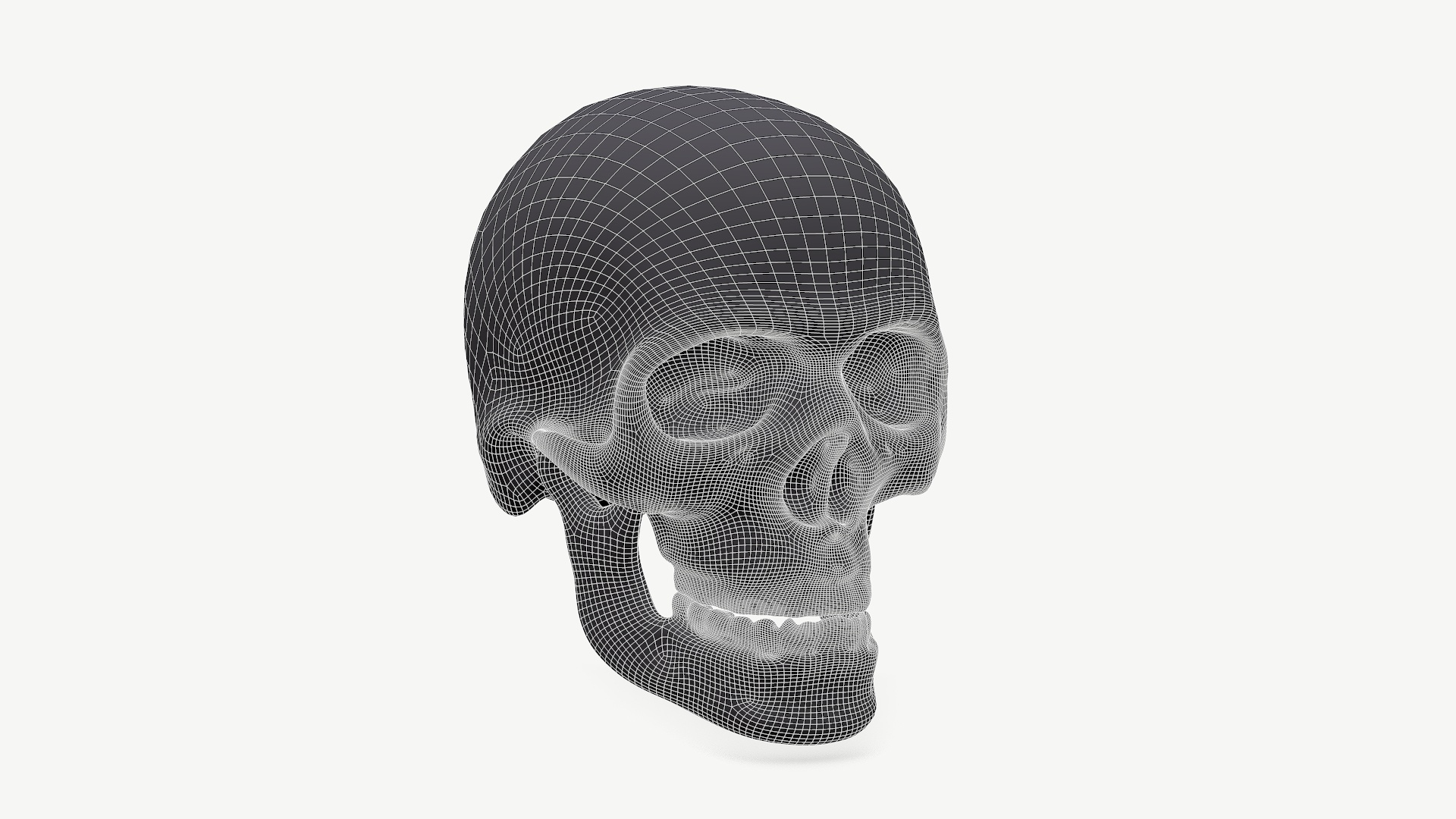 Realistic Human Skull Model - TurboSquid 1323615