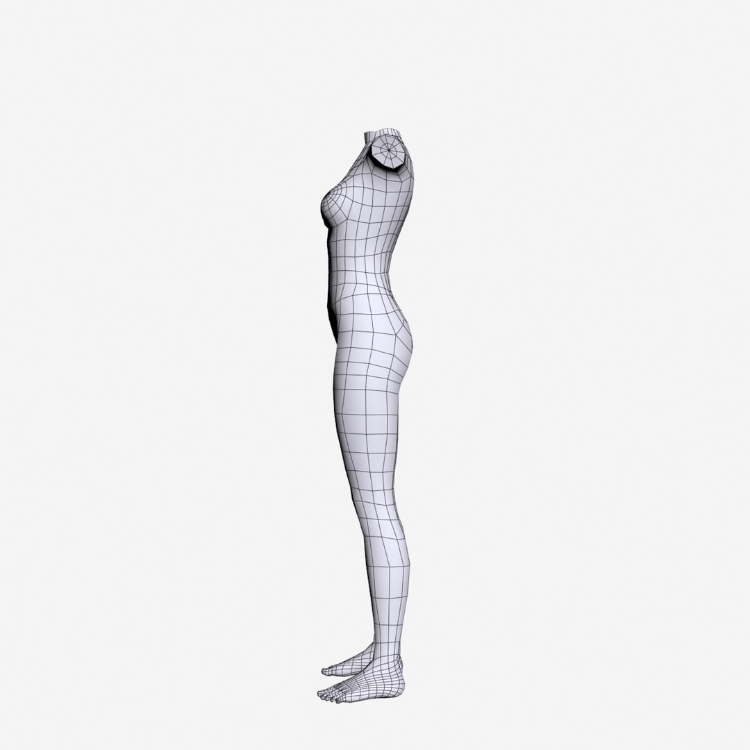 3D Female Torso - TurboSquid 1374720