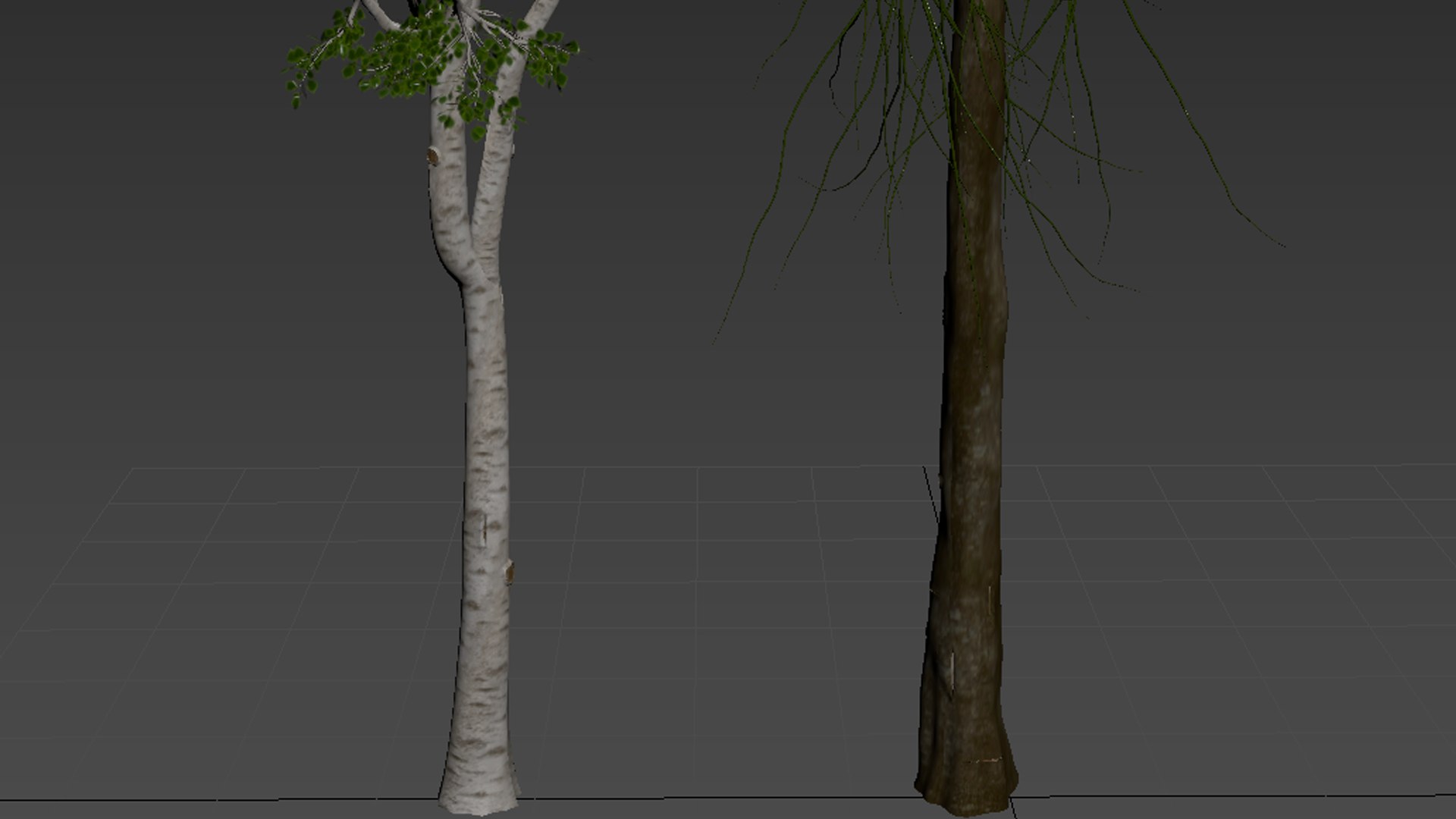 3D HQ Agar Wood Silver Birch Tree Betula Pendula Spring - TurboSquid ...