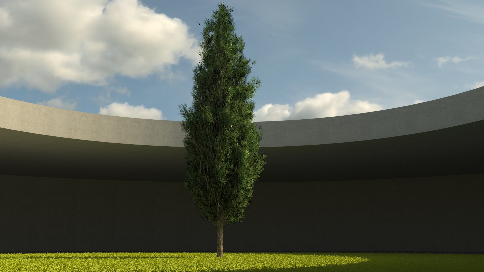 3D Italian Cypress - TurboSquid 1534533