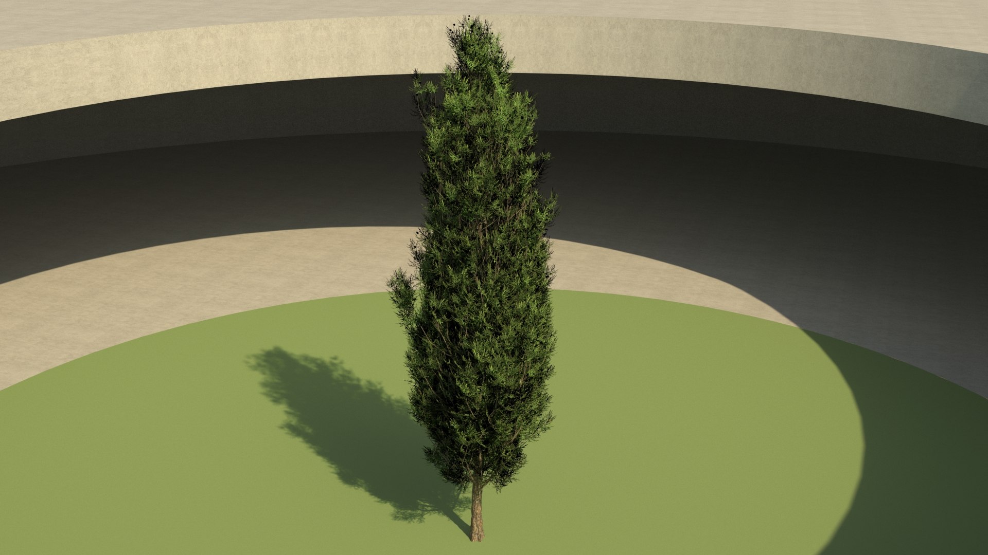 3D Italian Cypress - TurboSquid 1534533