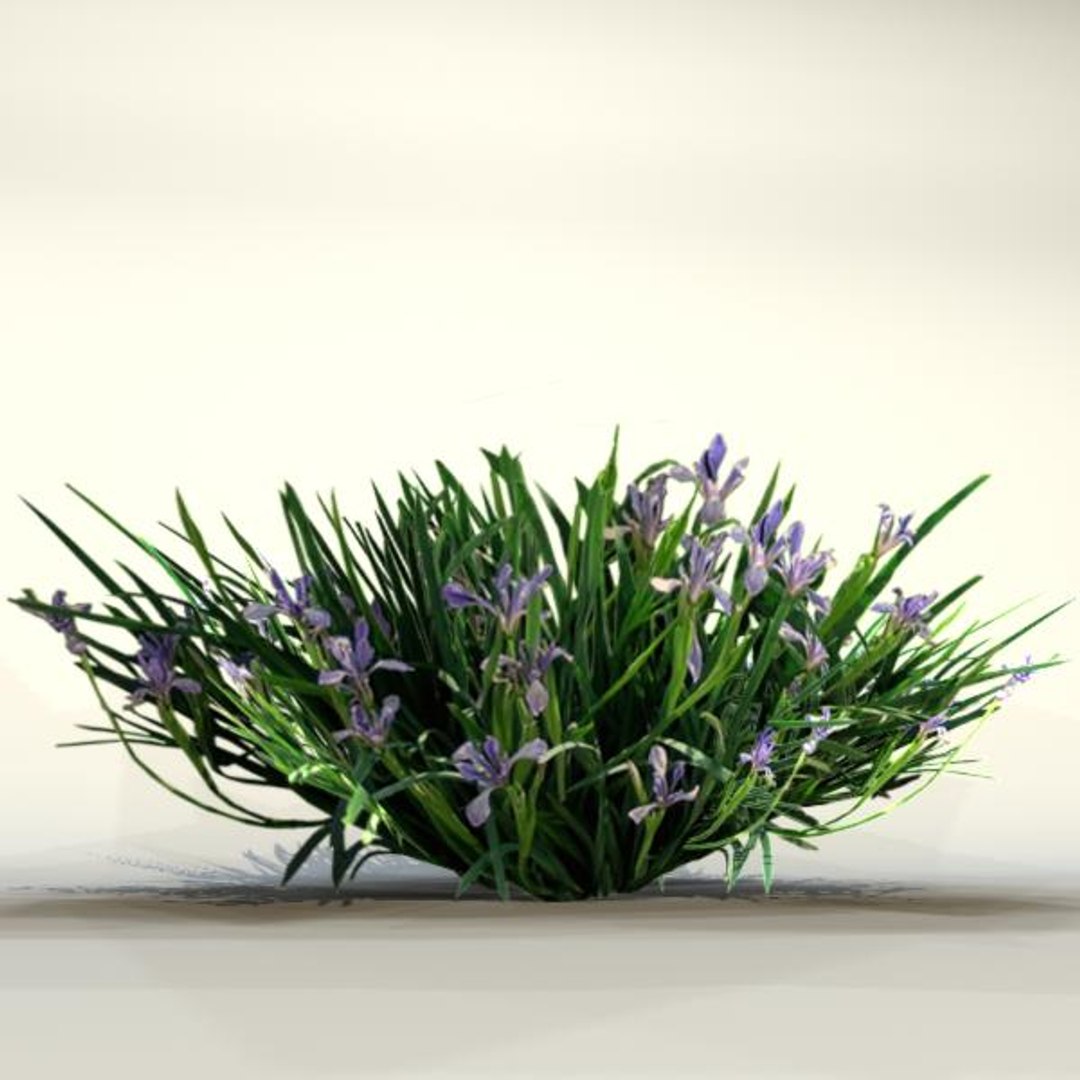 3d max flower pc