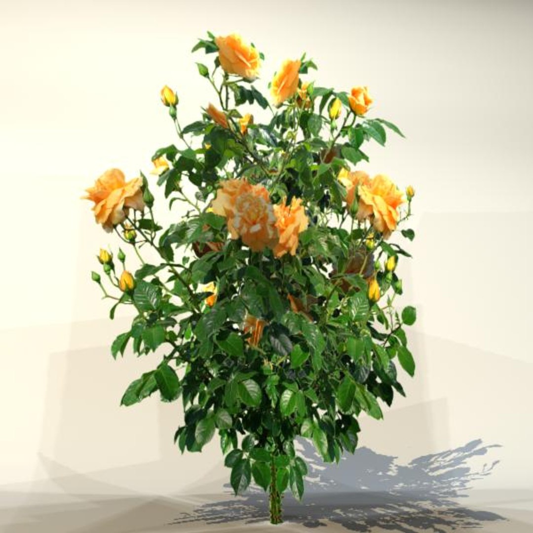 3d max flower pc