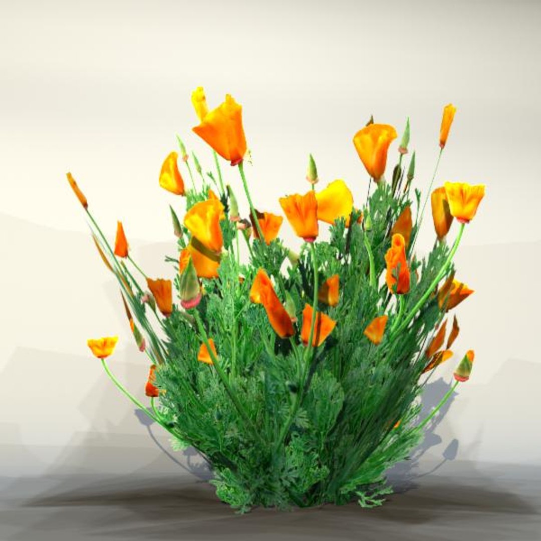 3d max flower pc