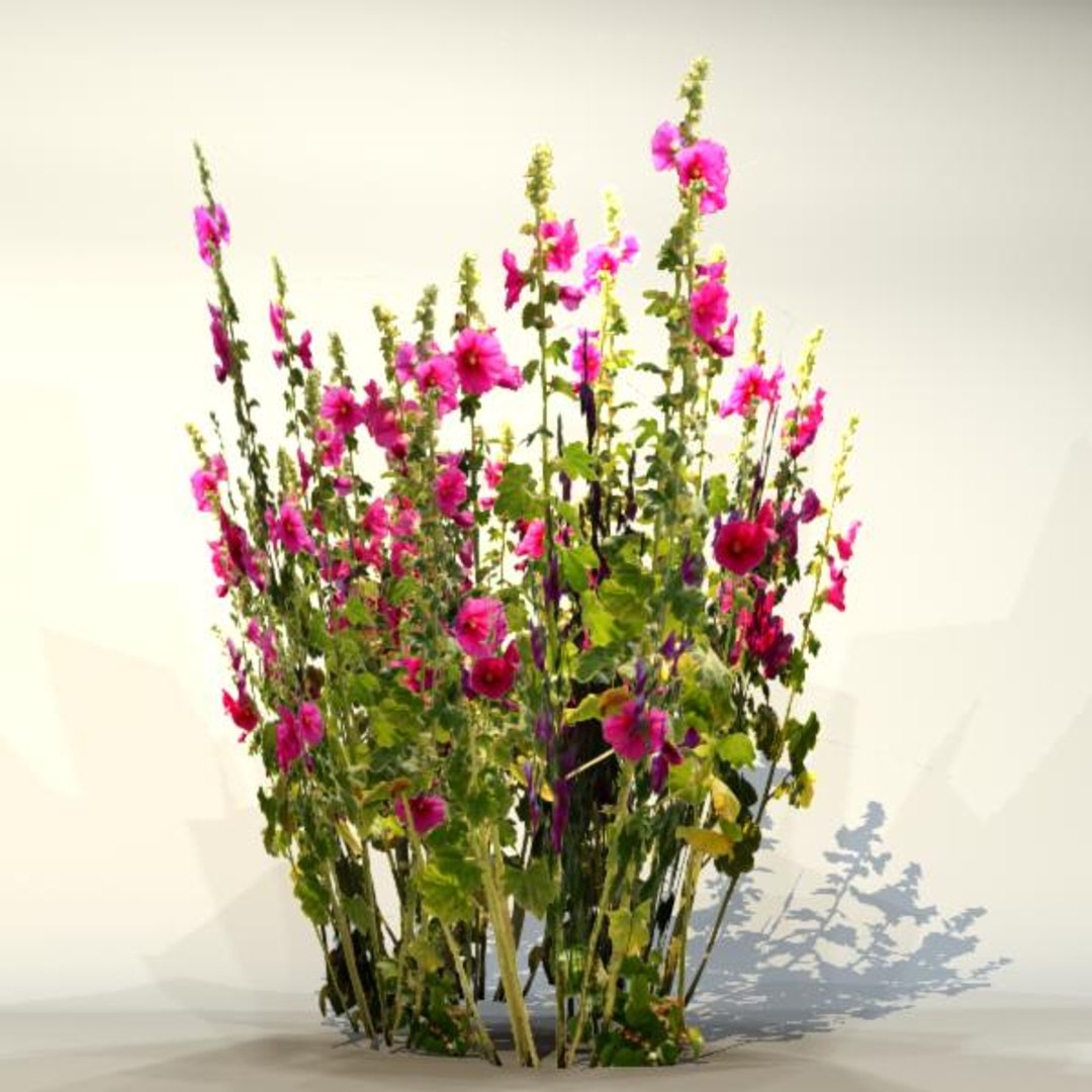 3d max flower pc