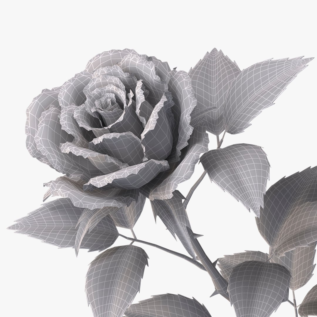 3D Rose V8 Model - TurboSquid 1168292