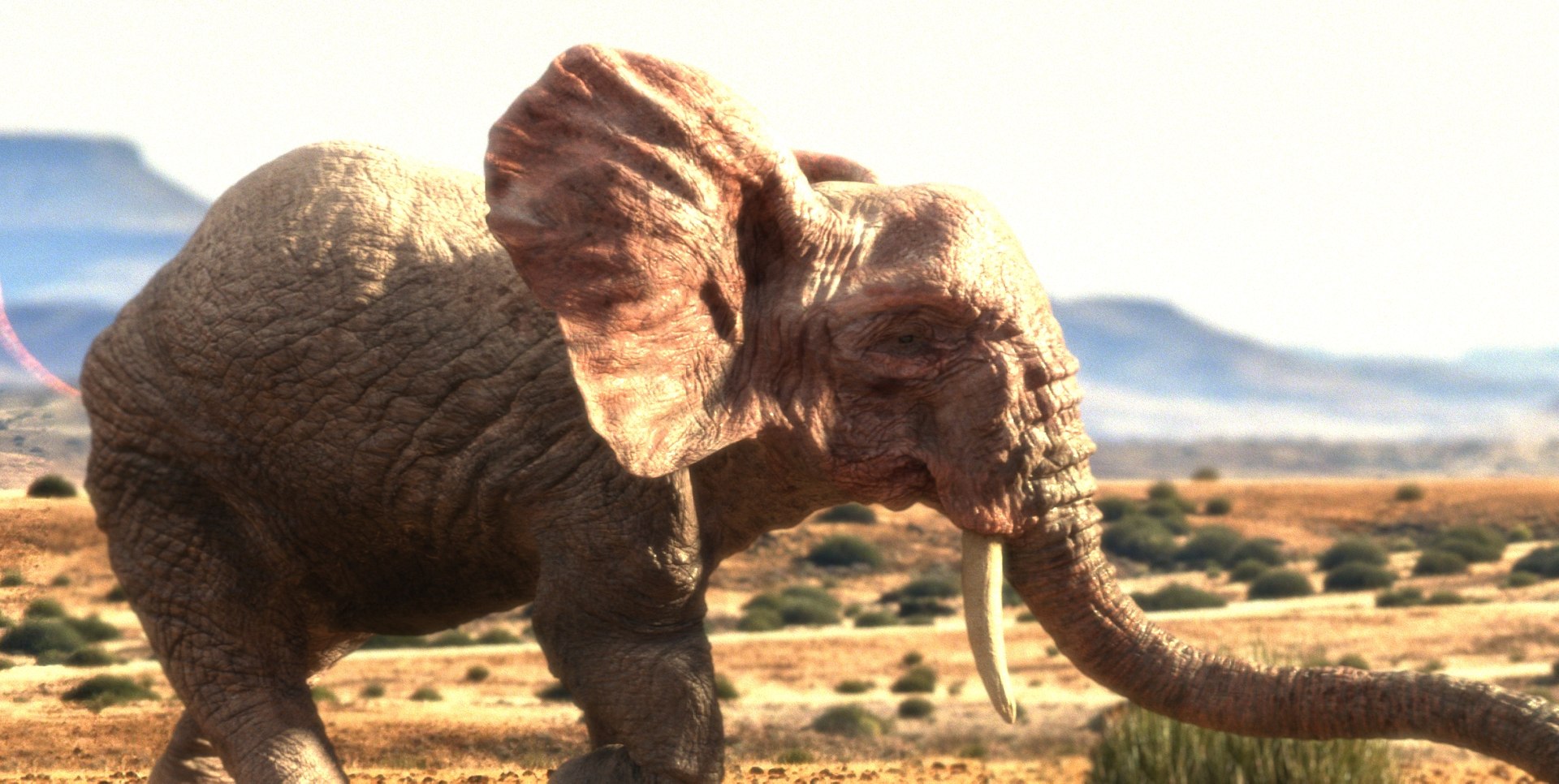 3D Model Elephant - TurboSquid 1870156