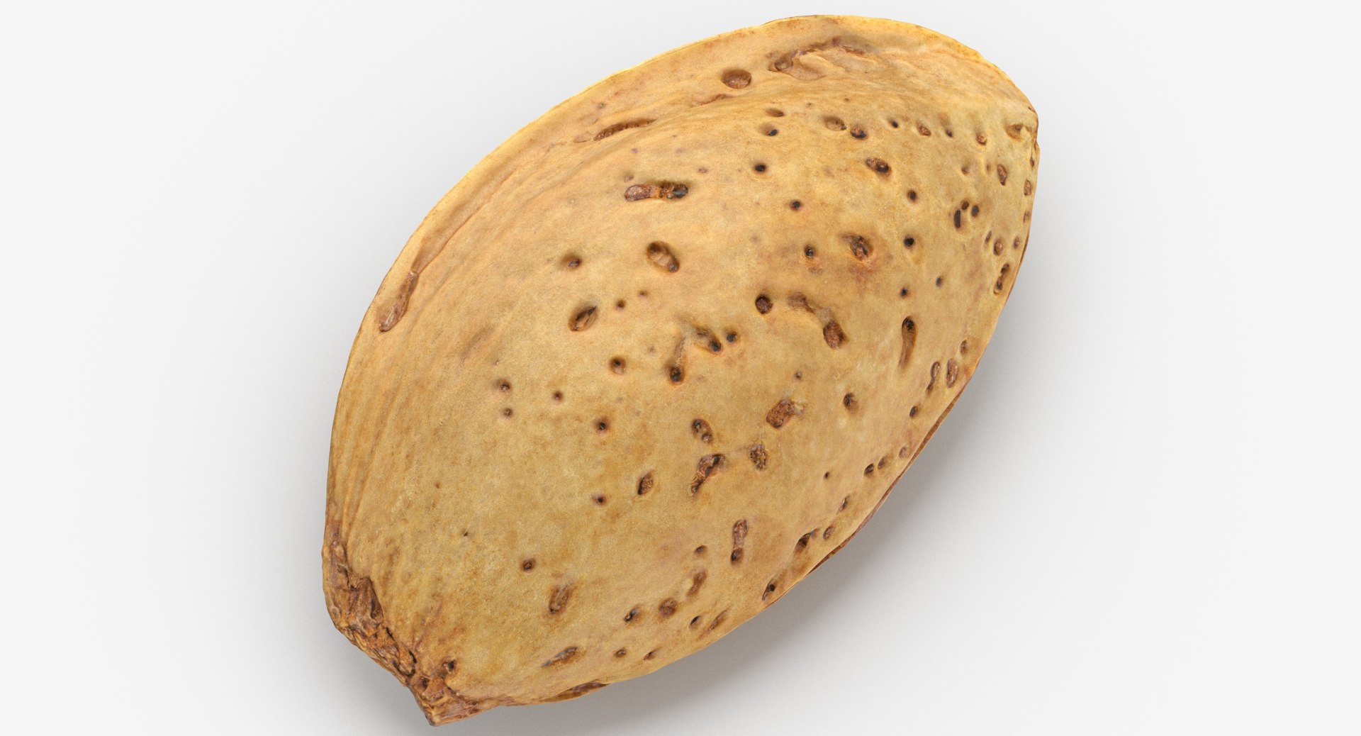 3D Almond Shell 04 - TurboSquid 1514868