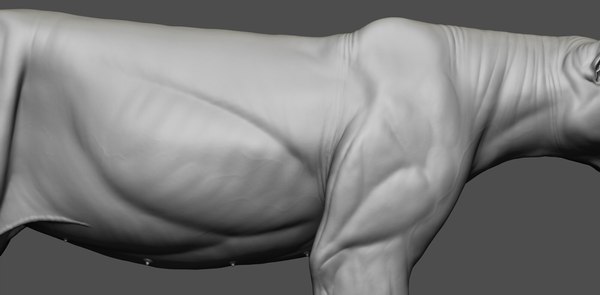 Fully Detailed Snow Leopard Zbrush Sculpt 3D model - TurboSquid 1850482